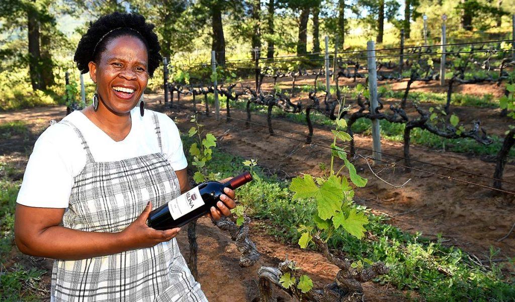 Explore the Captivating Wines of Aslina in South Africa